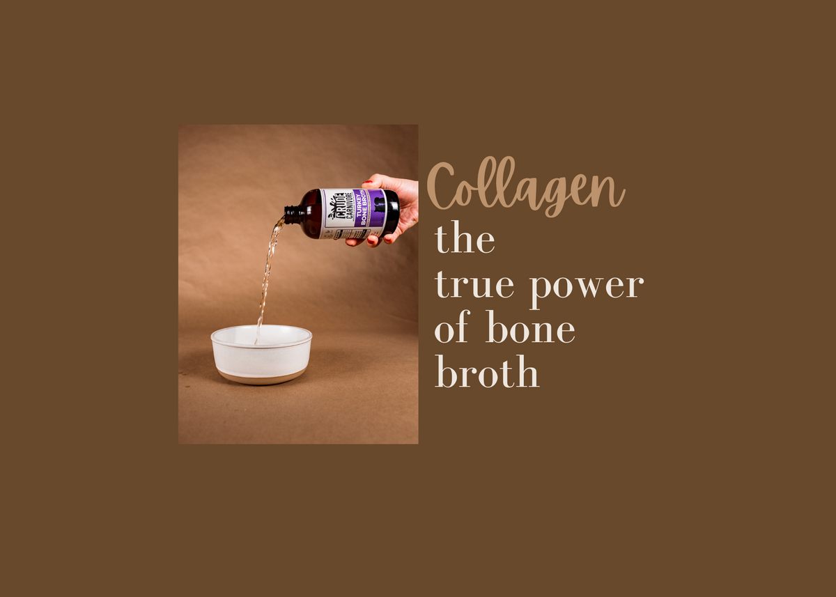 Collagen: The True Power of Bone Broth